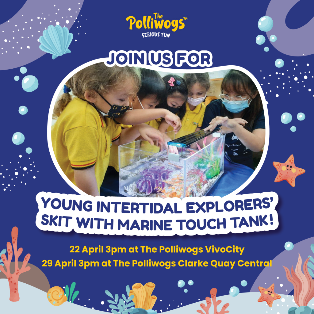 Past Months - The Polliwogs: Kids Indoor Playgrounds in Singapore